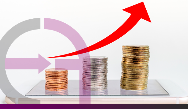 Margem de Lucro: saiba o que é e como deve ser calculada. - ECOFINANÇA